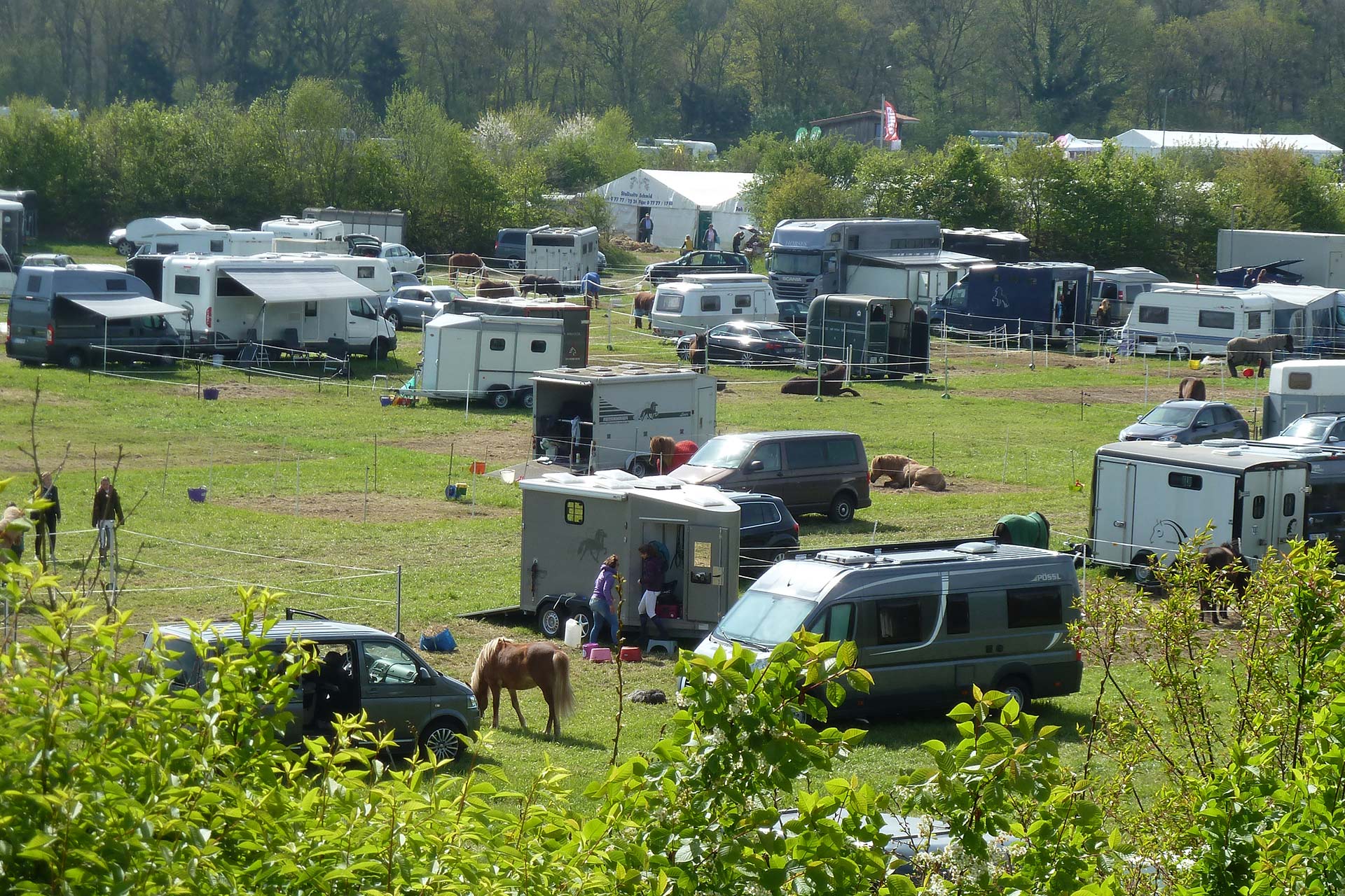 Camping Lingen | Liane Friedhelm